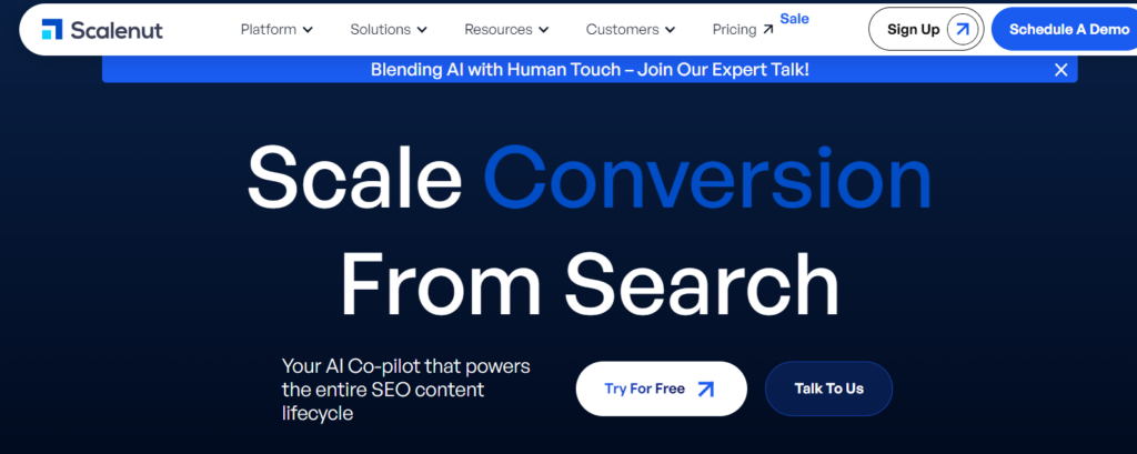 Best AI Tools for Website Content Writing in USA