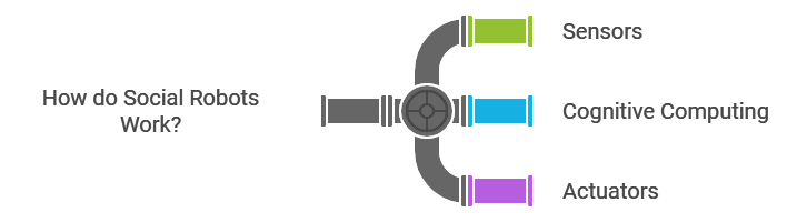 What are Social Robots?