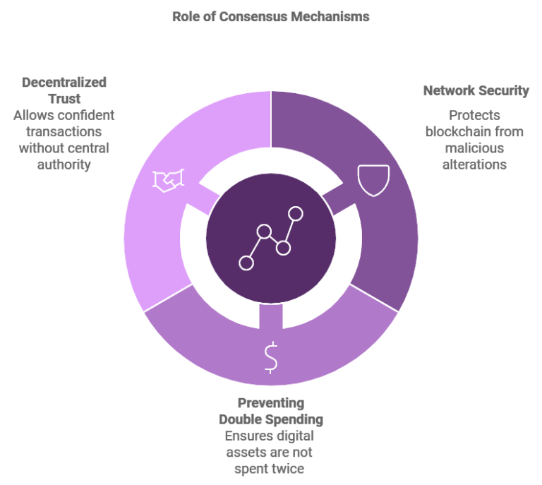 What are Consensus Mechanisms?