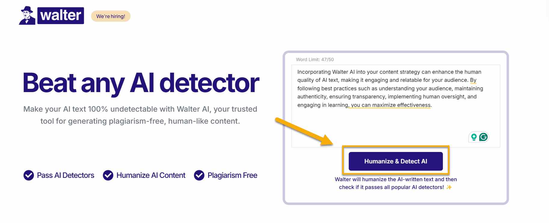 How to Use Walter AI to Humanize Your Text Effortlessly