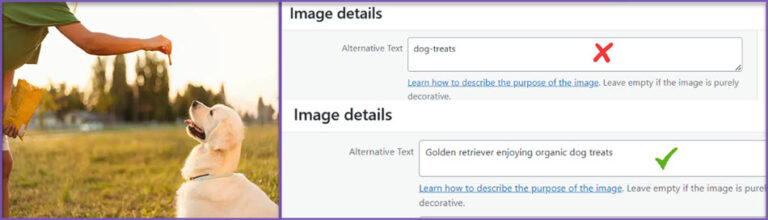 Image Alt Text: Best Practices for SEO and Accessibility